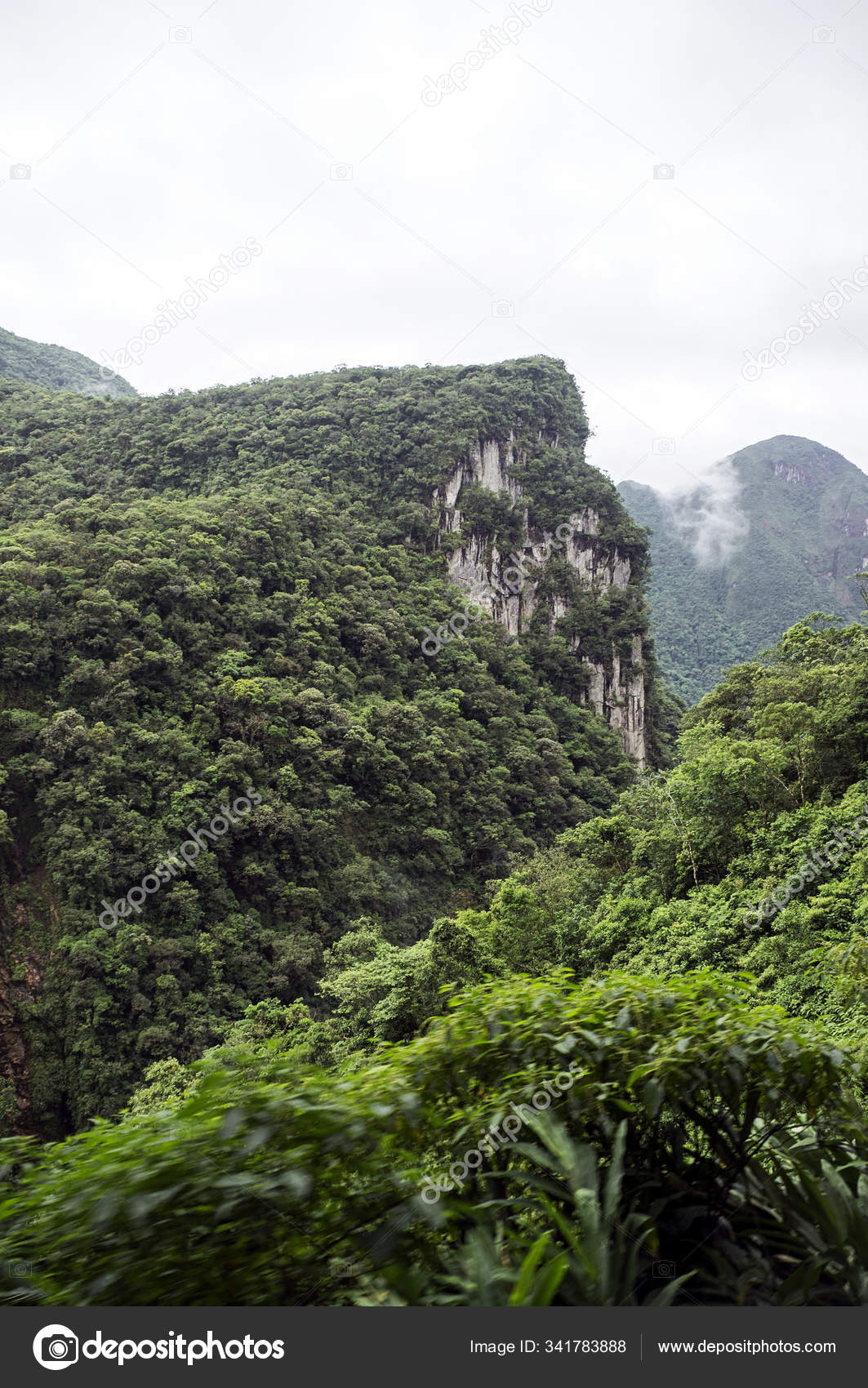Atlantica Rainforest Jungle Mountain Canyon Mist Cloudy Outdoors ...