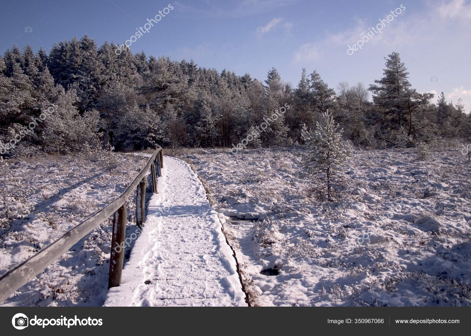 Nature Reserve Protected Area Importance Flora Fauna Features ...