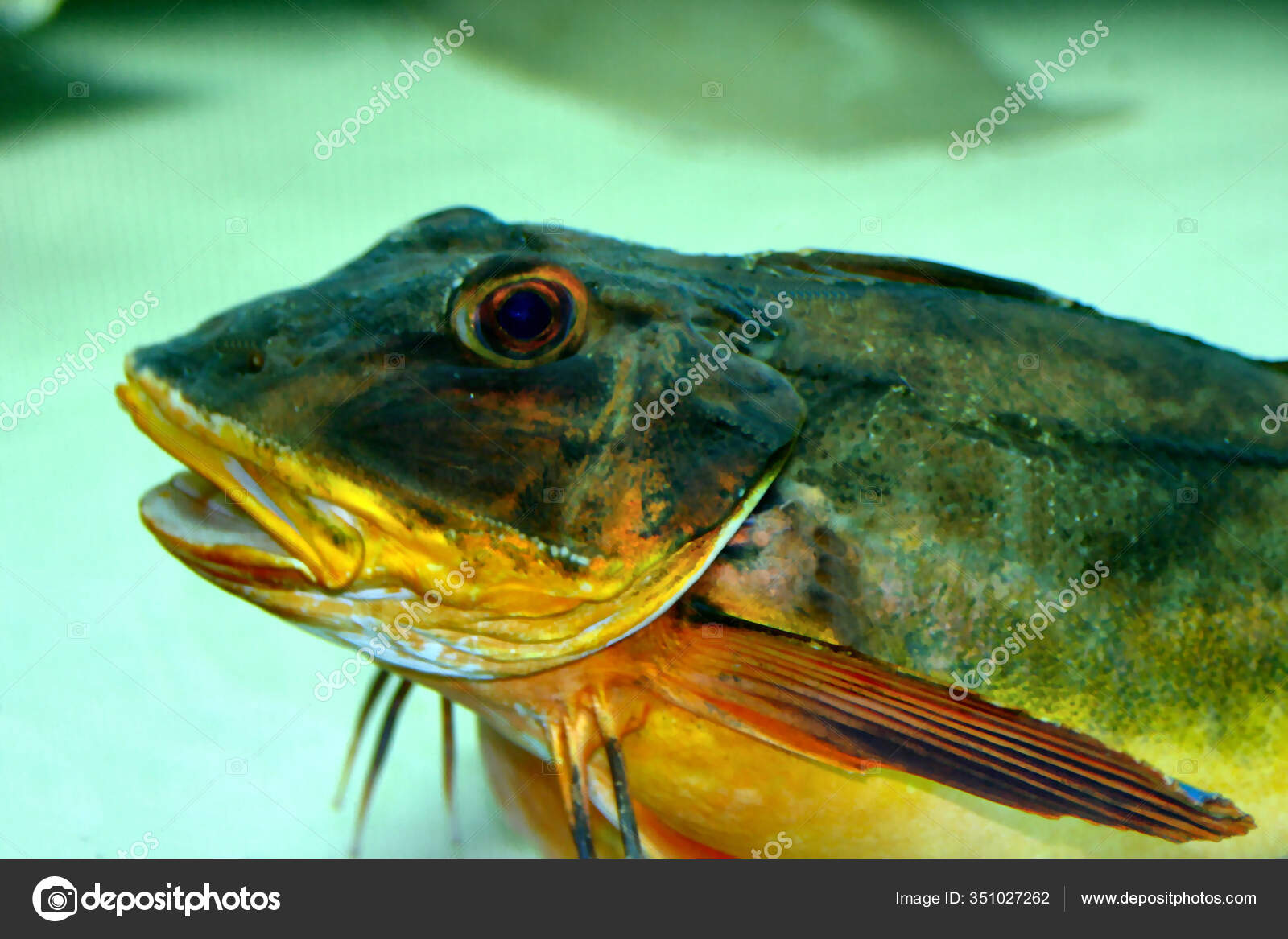 Marine Theme Wallpaper Daylight Shot — Stock Photo © PantherMediaSeller ...