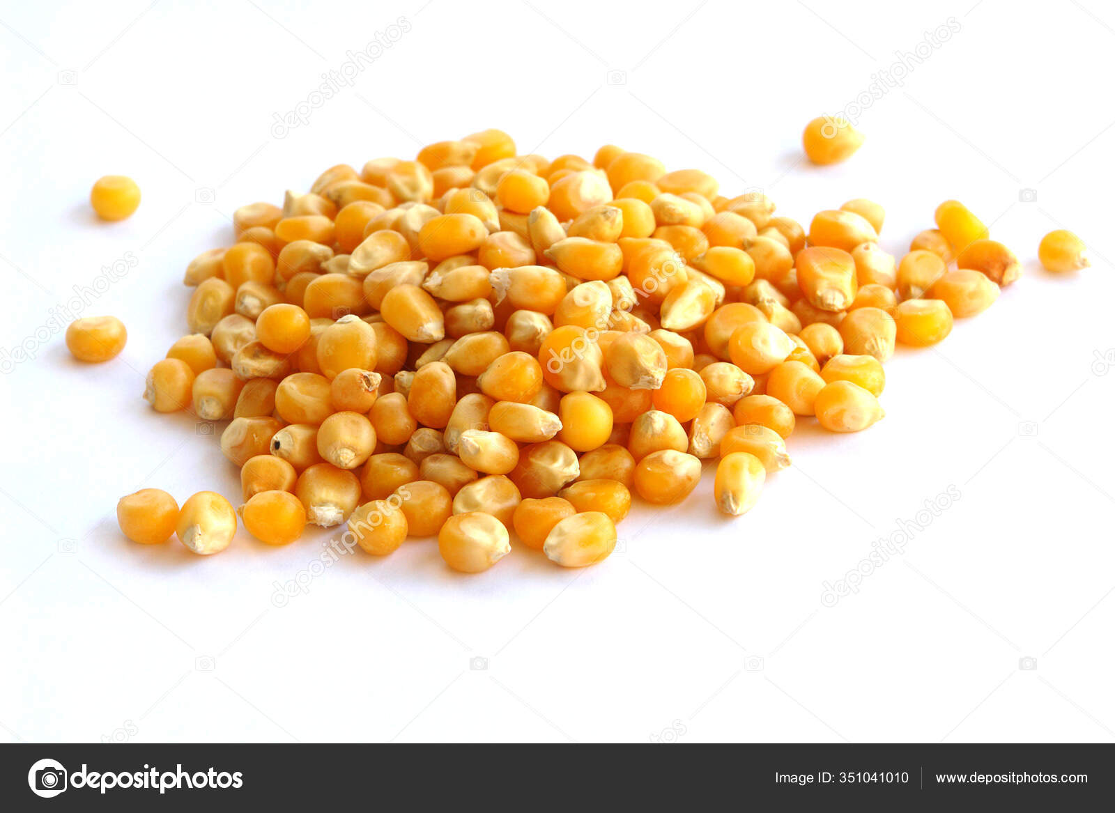 Corn Grains Food Seeds — Stock Photo © PantherMediaSeller #351041010