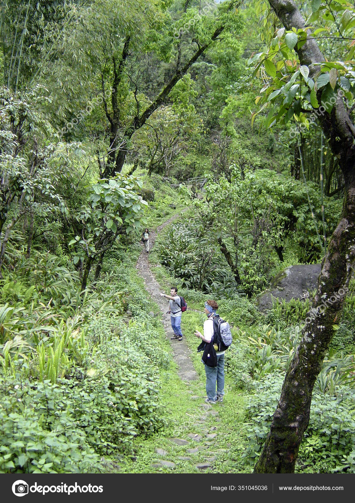 Jungle Hike Sikkim India — Stock Photo © PantherMediaSeller #351045036