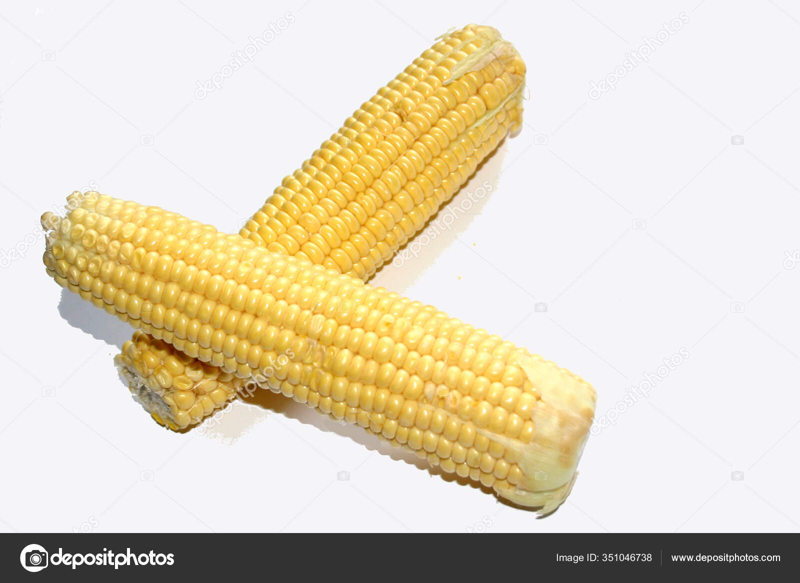Corn Cob — Stock Photo © PantherMediaSeller #351046738