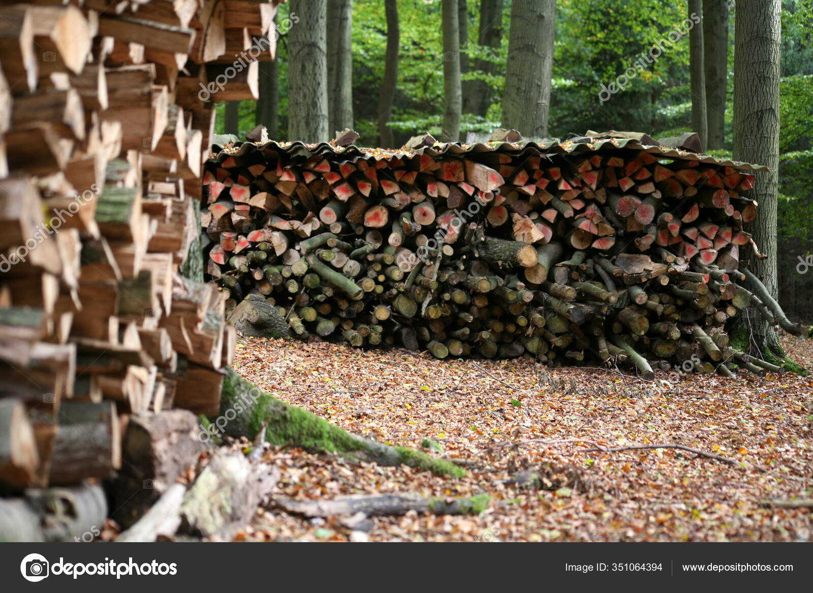 Wooden Stacks Tree Timber Stock Photo by ©PantherMediaSeller 351064394