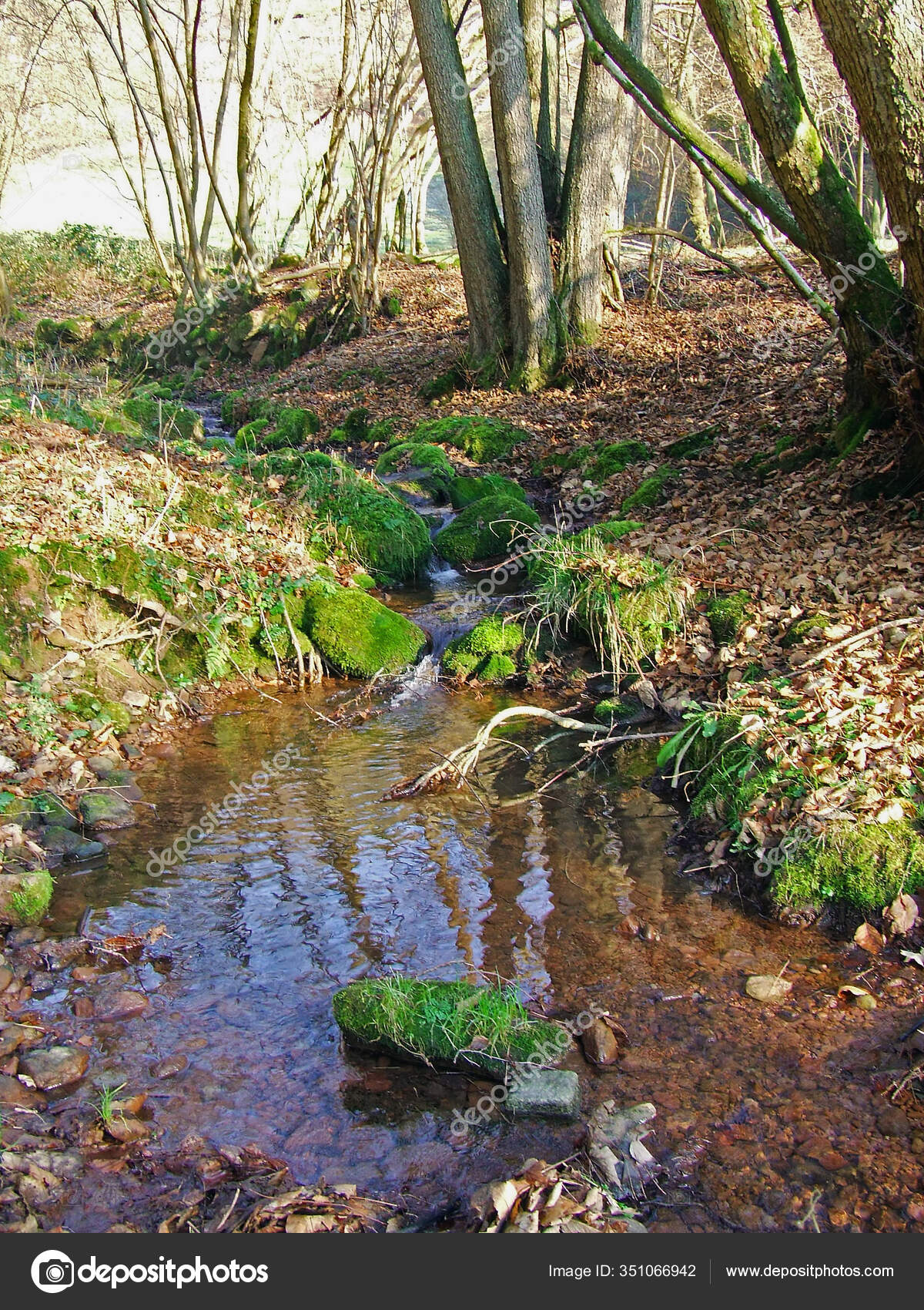 Beautiful View Nature Scene — Stock Photo © PantherMediaSeller #351066942