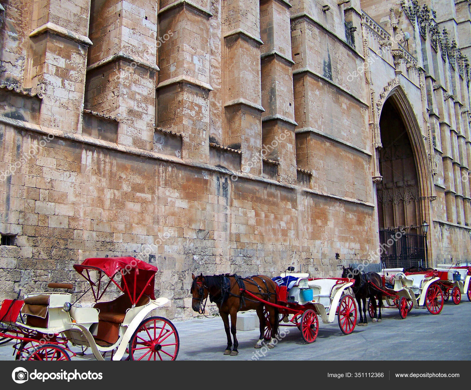 Poor Horses Carriages Waiting Use Front Cathedral Seu Palma Mallorca ...