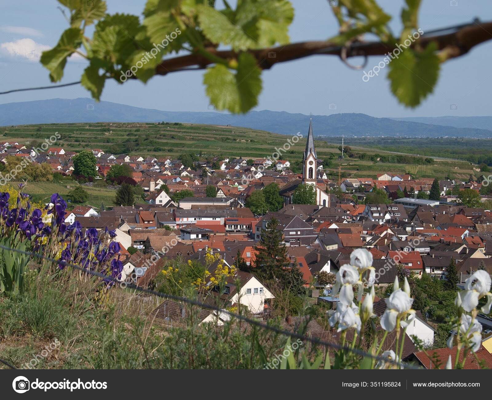 Ihringen Kaiserstuhl — Foto de stock #351195824 © PantherMediaSeller