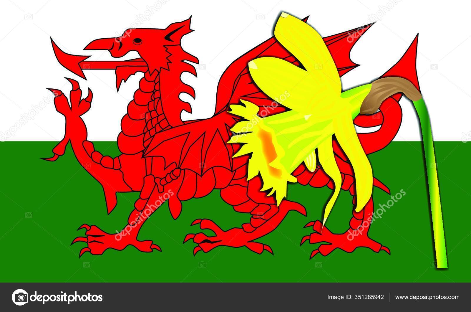 Bandera Nacional Del Dragón Gales Con Flor Nacional Narciso Vector de ...