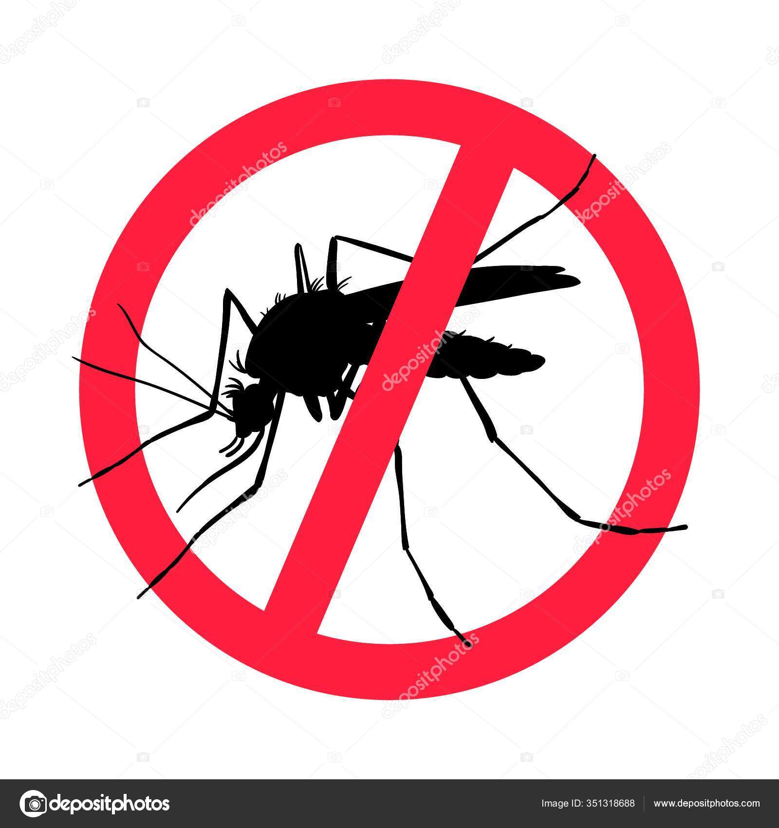 Moustique Symbole Parasite Signe Avertissement Silhouettes — Image