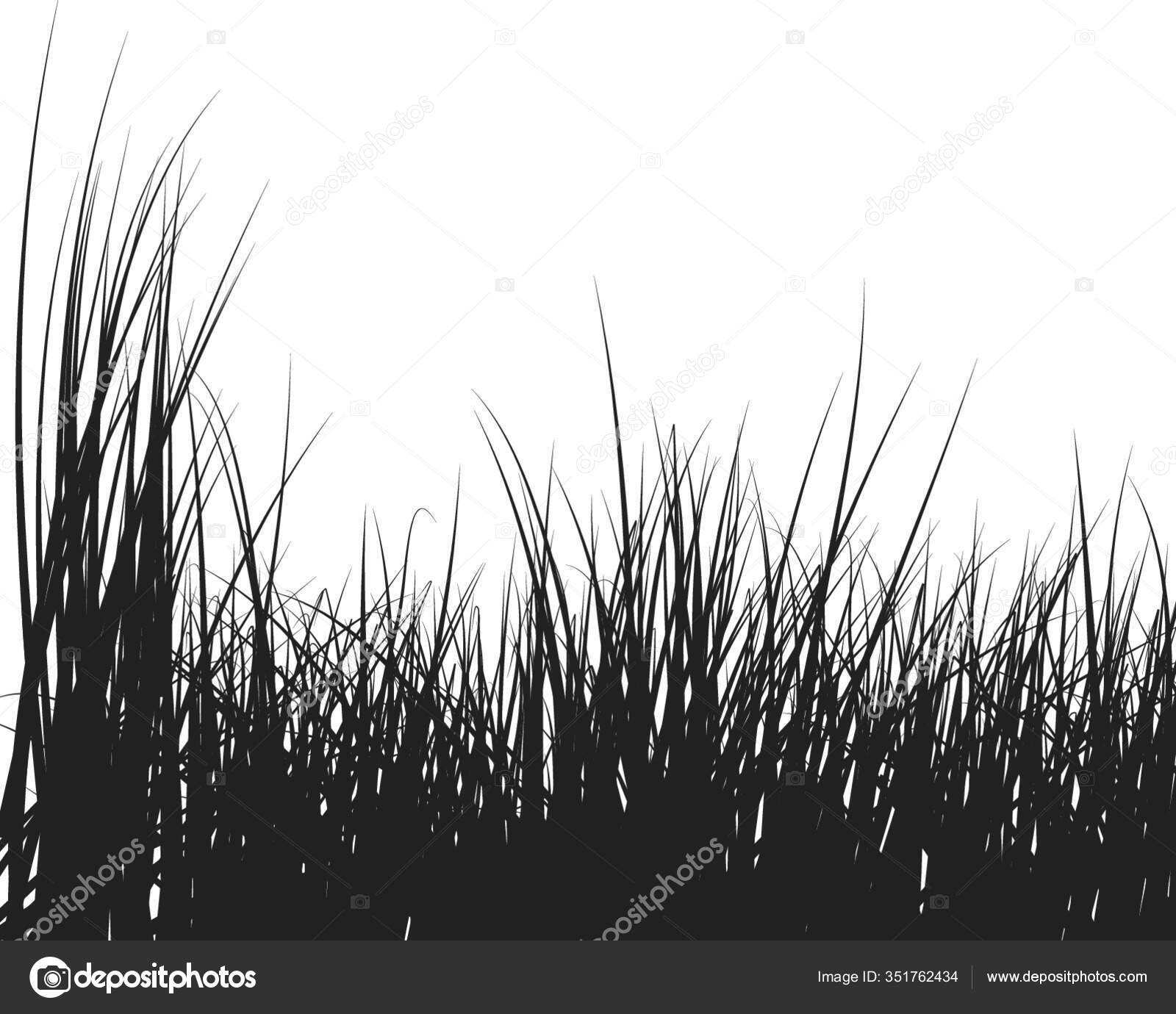 Vector Illustration Grass Background Design Use Stock Vector Image by ...