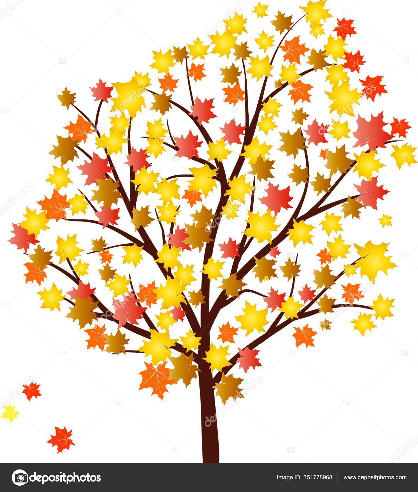Autumn Maples Tree Falling Leaves Vector Illustration Stock Vector ...