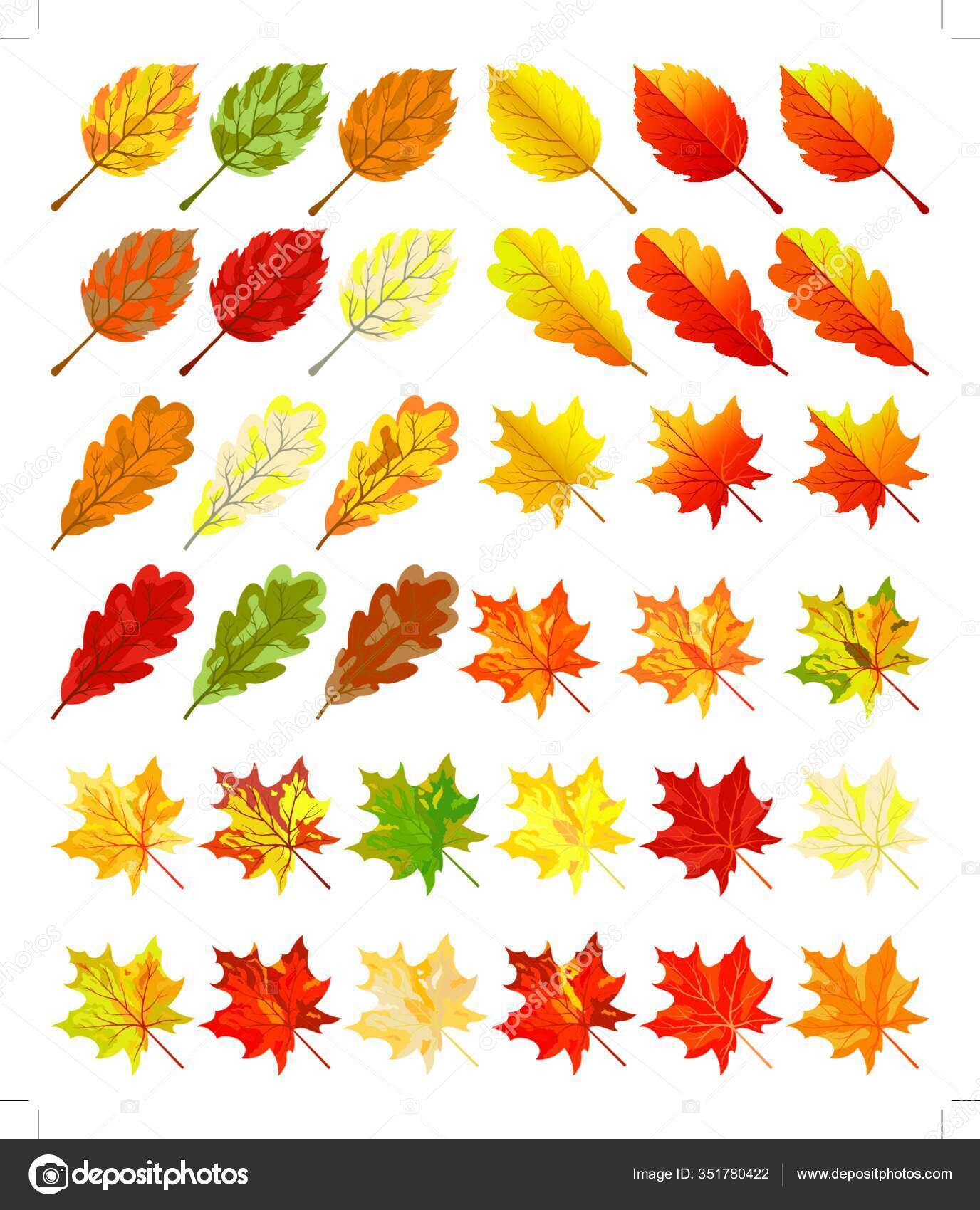 Collection Color Autumn Leaves Vector Illustration Stock Vector by ... Collection Color Autumn Leaves Vector Illustration Stock Vector by ...
