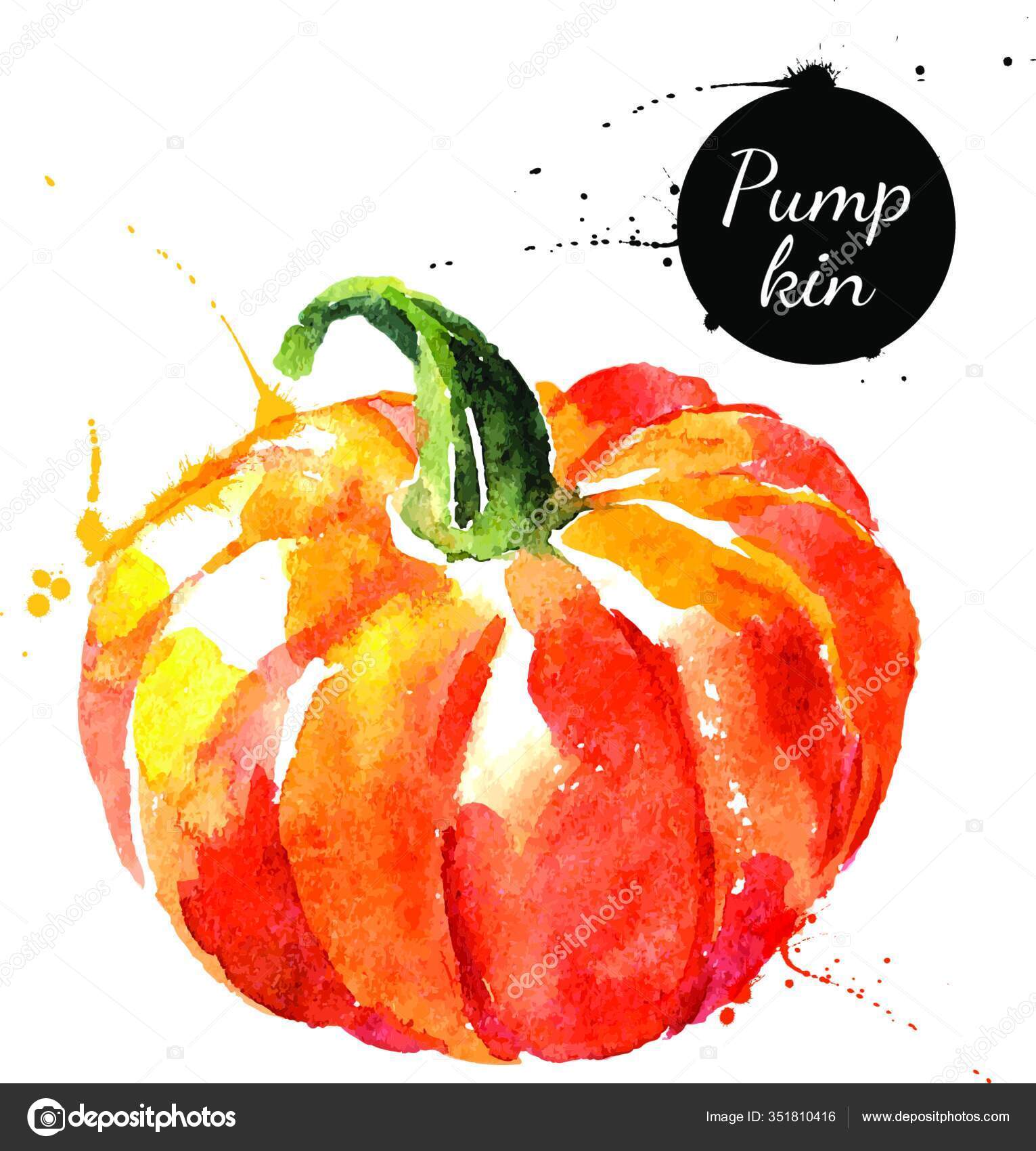 Labu Lukisan Cat Air Dengan Tangan Latar Belakang Putih Ilustrasi ...