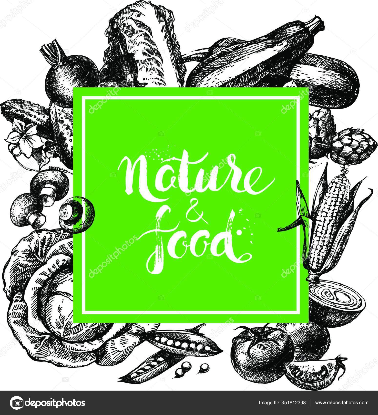 Eco Natural Food Menu Background Sketch Hand Drawn Vegetables Frame ...