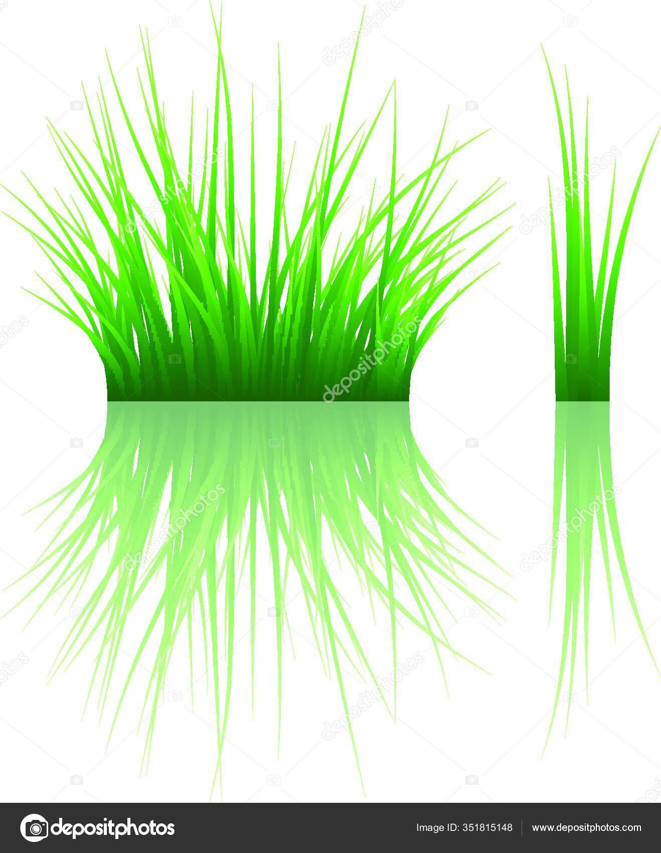 Reflected Vector Grass Pattern Vector Illustration Stock Vector by ...