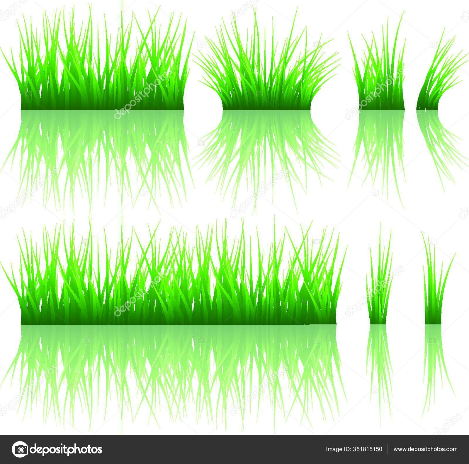 Reflected Vector Grass Pattern Vector Illustration Stock Vector by ...