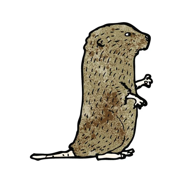 Vole Cartoon