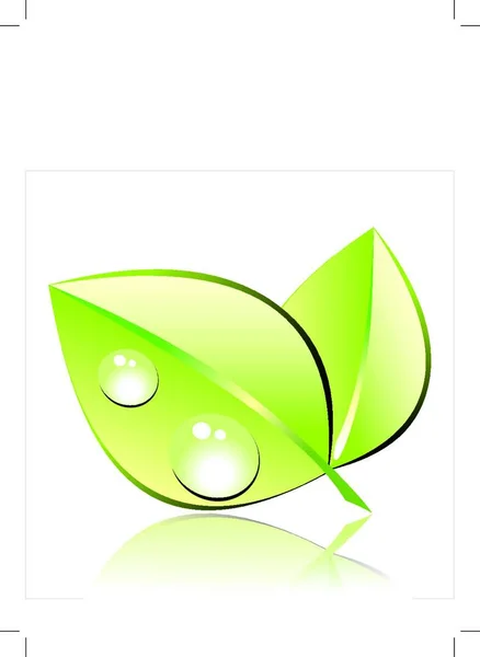 Green leaf with water drop Stock Vector Image by ©Success_ER #6378815