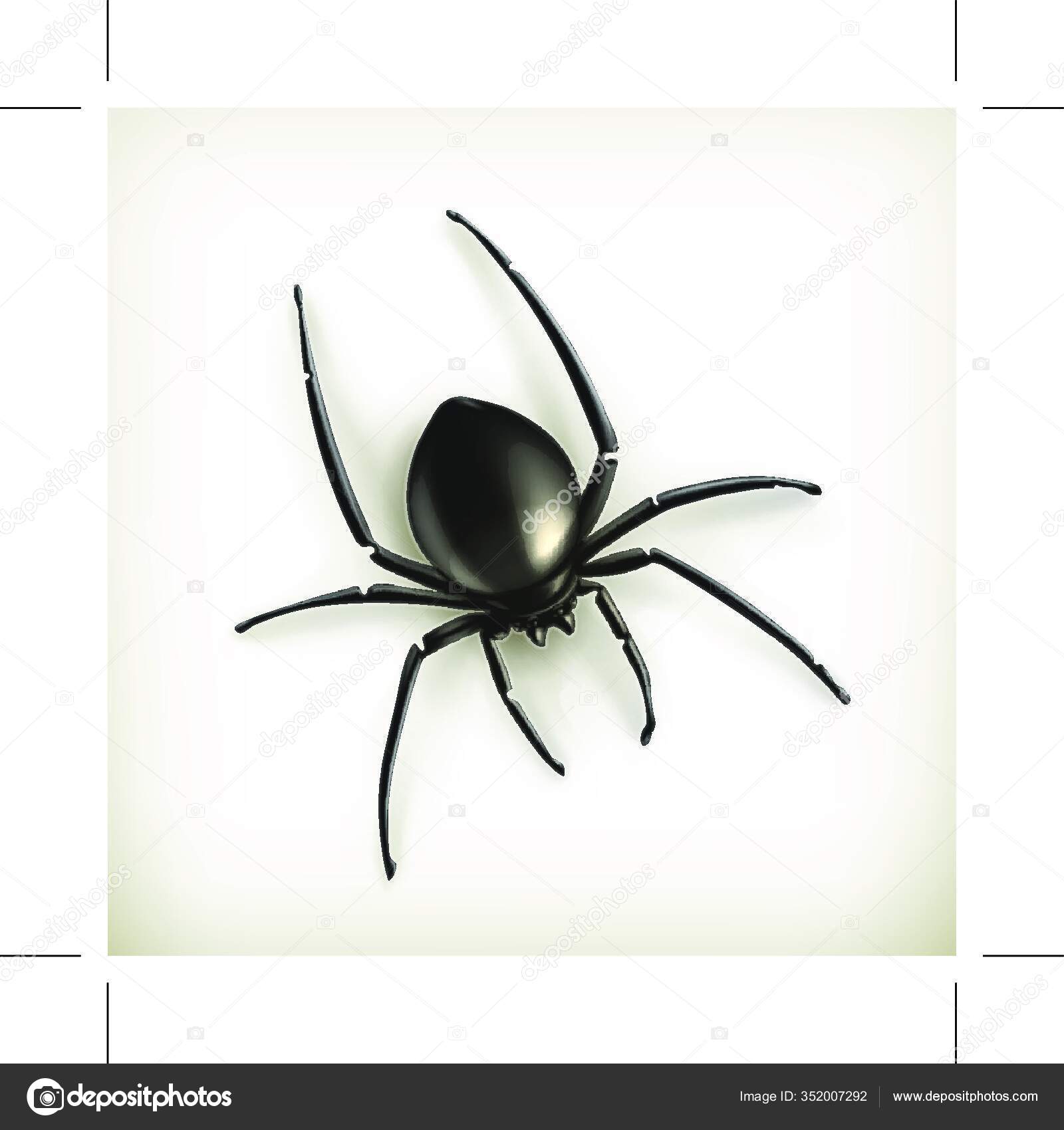 Spider Insect Trap Animal Stock Vector Image by ©PantherMediaSeller ...