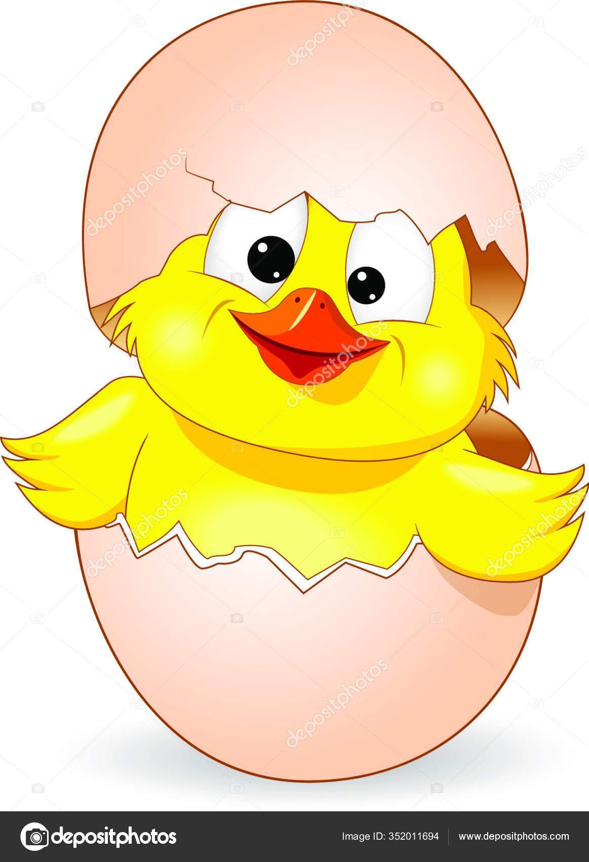 Pollito Amarillo Sobre Fondo Blanco Dibujos Animados Polluelo ...