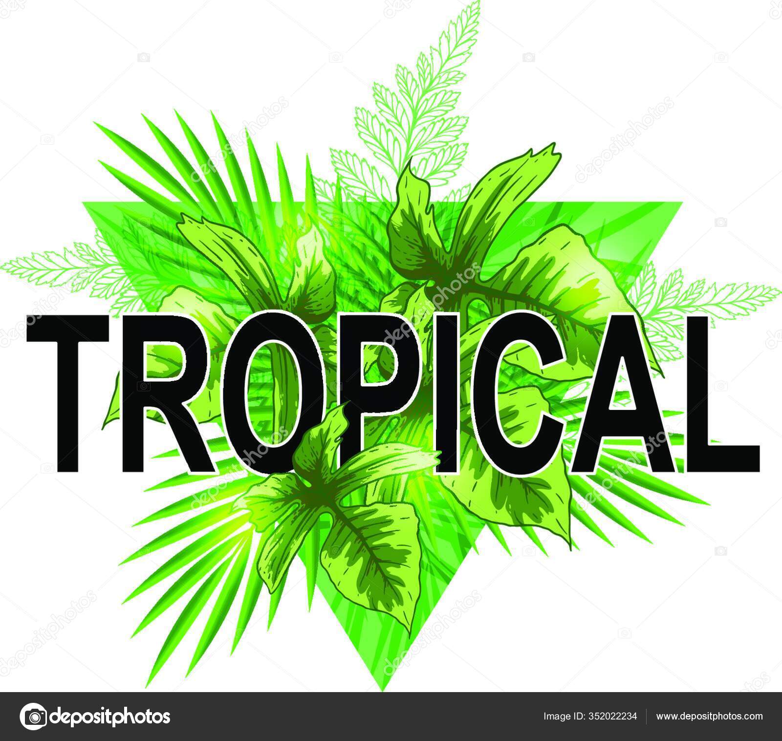 Green Triangle Palm Leaves Abstract Tropical Summer Background Stock ...