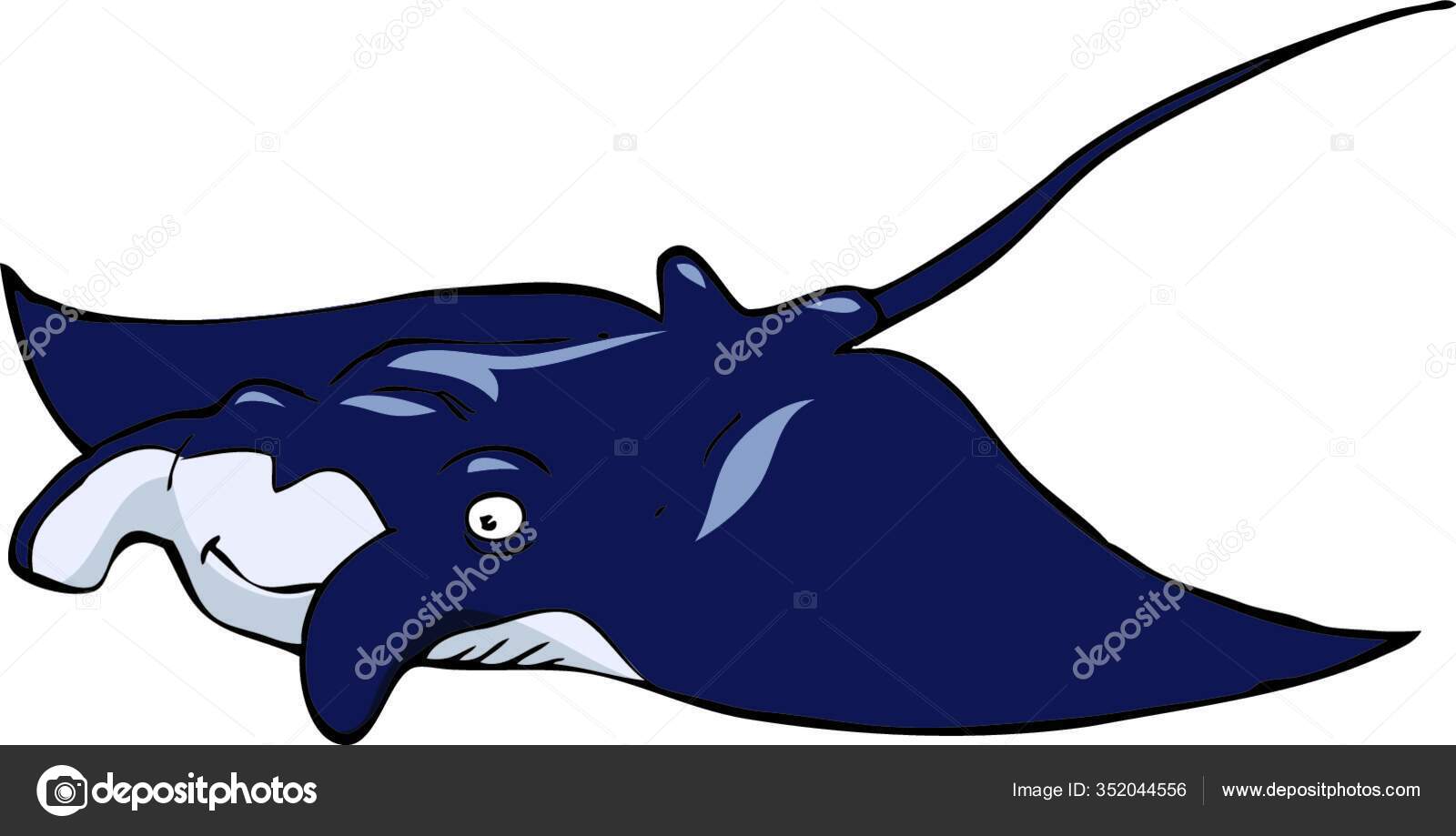 Stingray White Background Vector Illustration Stock Vector by ...