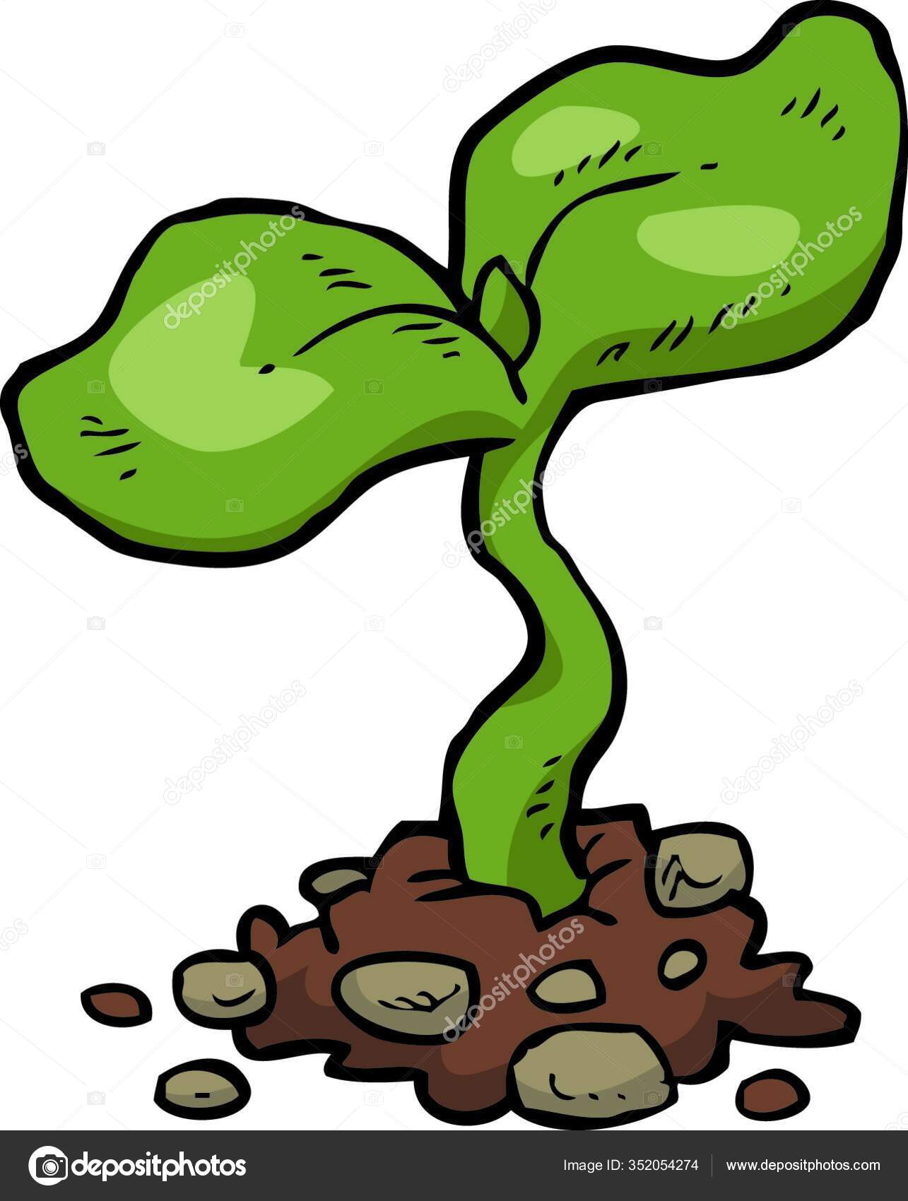Cartoon Doodle Young Sprout White Background Vector Illustration Stock ...