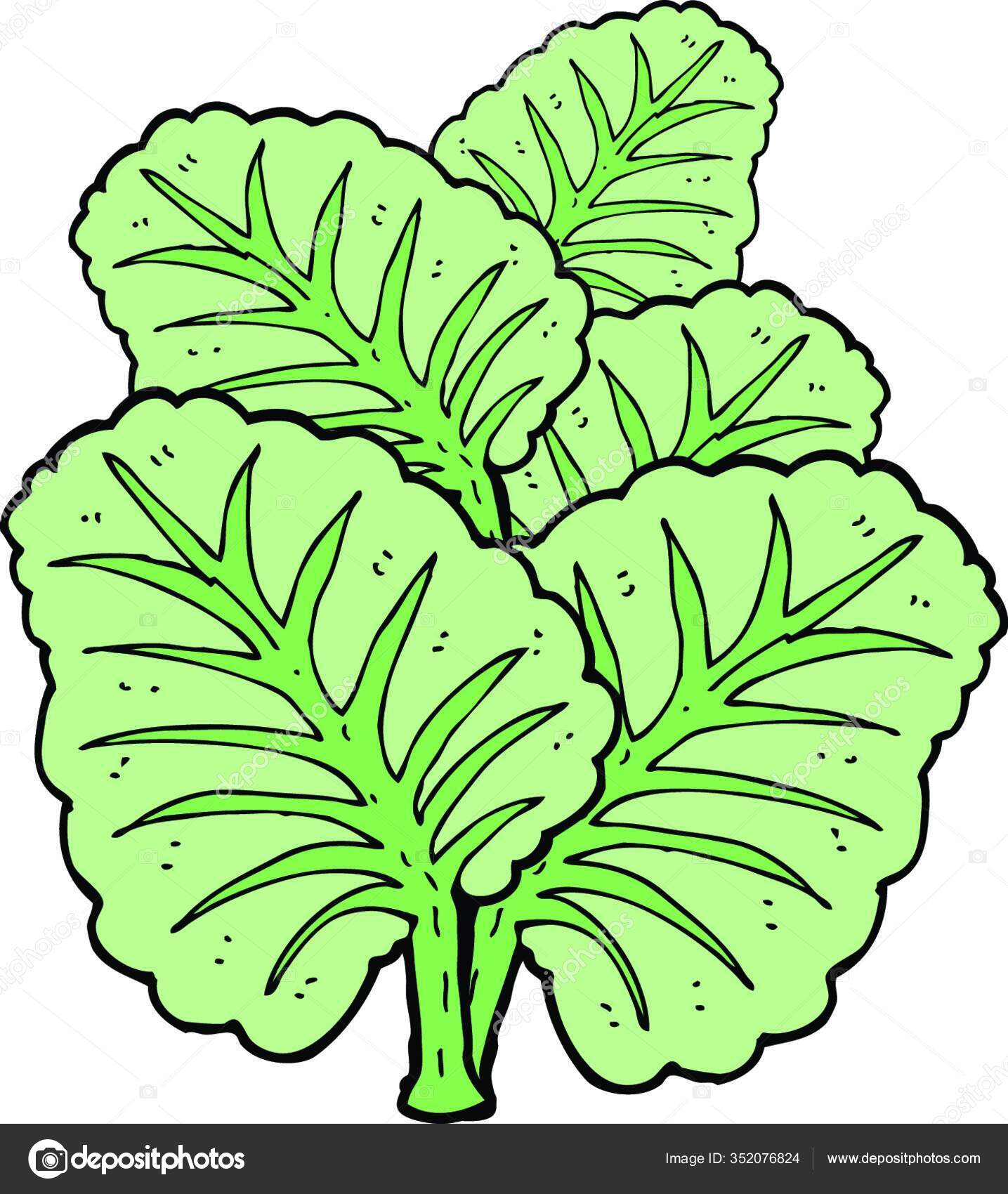Daun Kubis Kartun Ilustrasi Pada Latar Belakang Putih Vektor Stok oleh ...