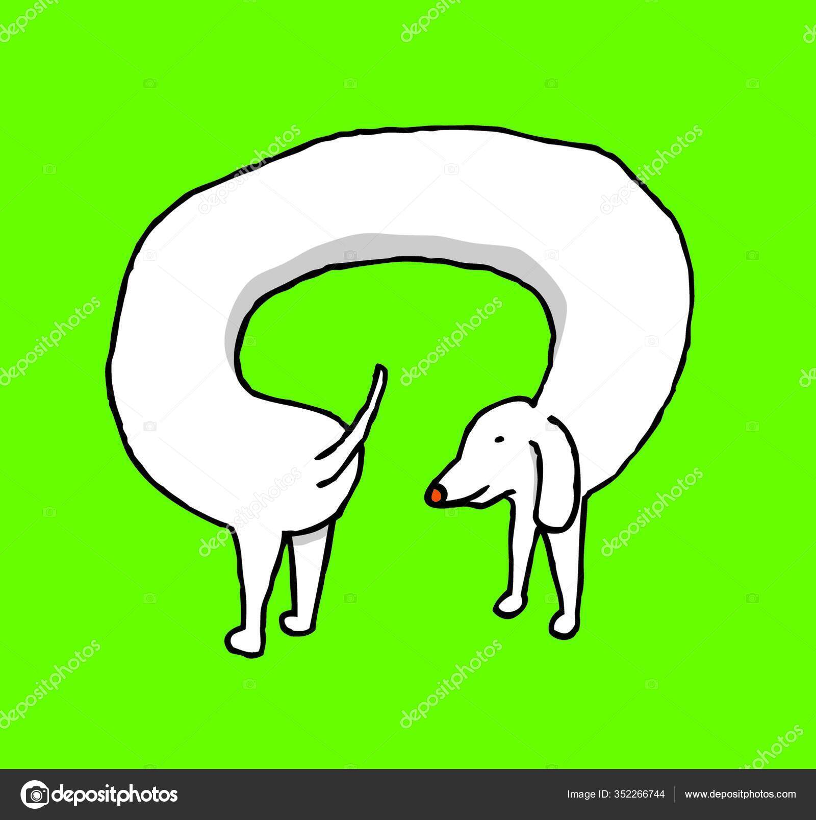 A Dog Chasing Its Tail Meaning