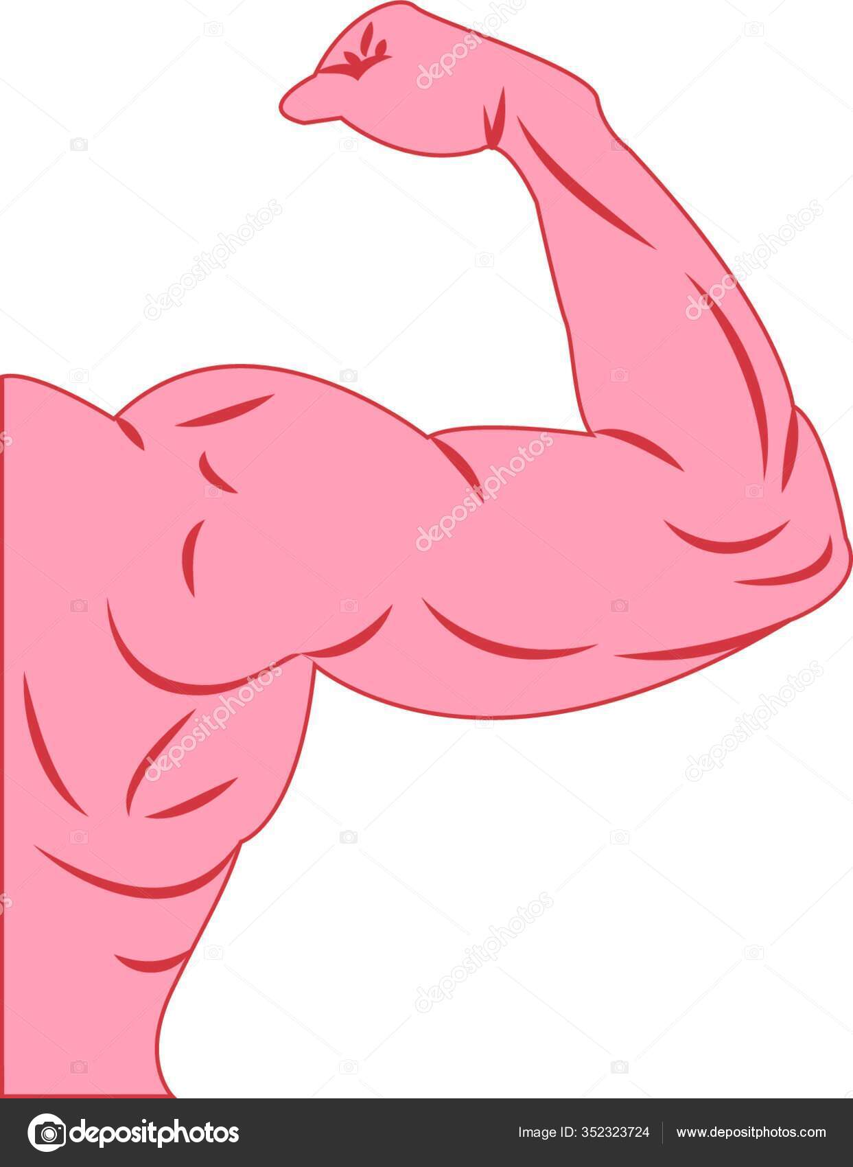Cartoon Muscle Arm