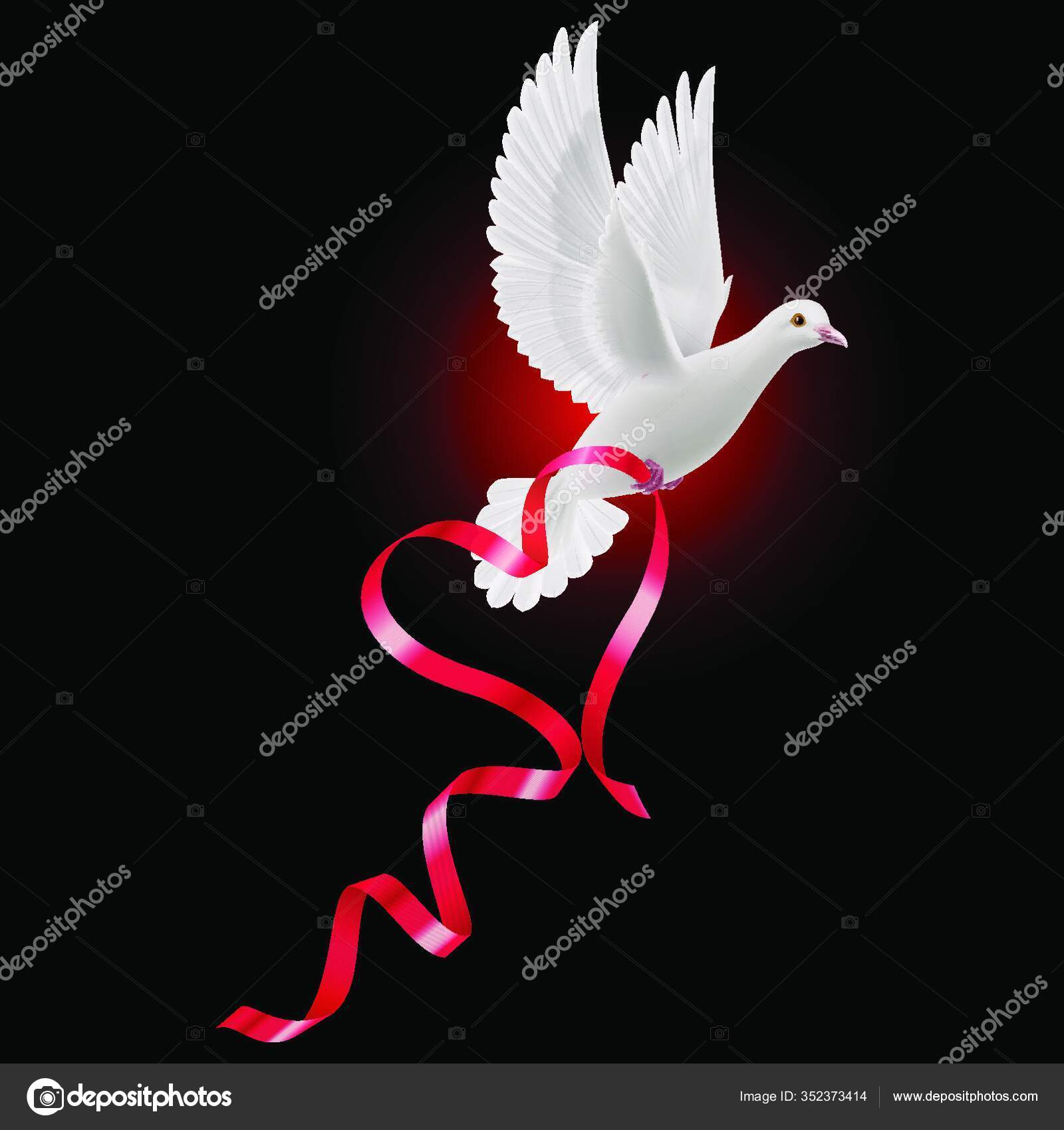 White Dove Red Ribbon Black Background Stock Vector by ...