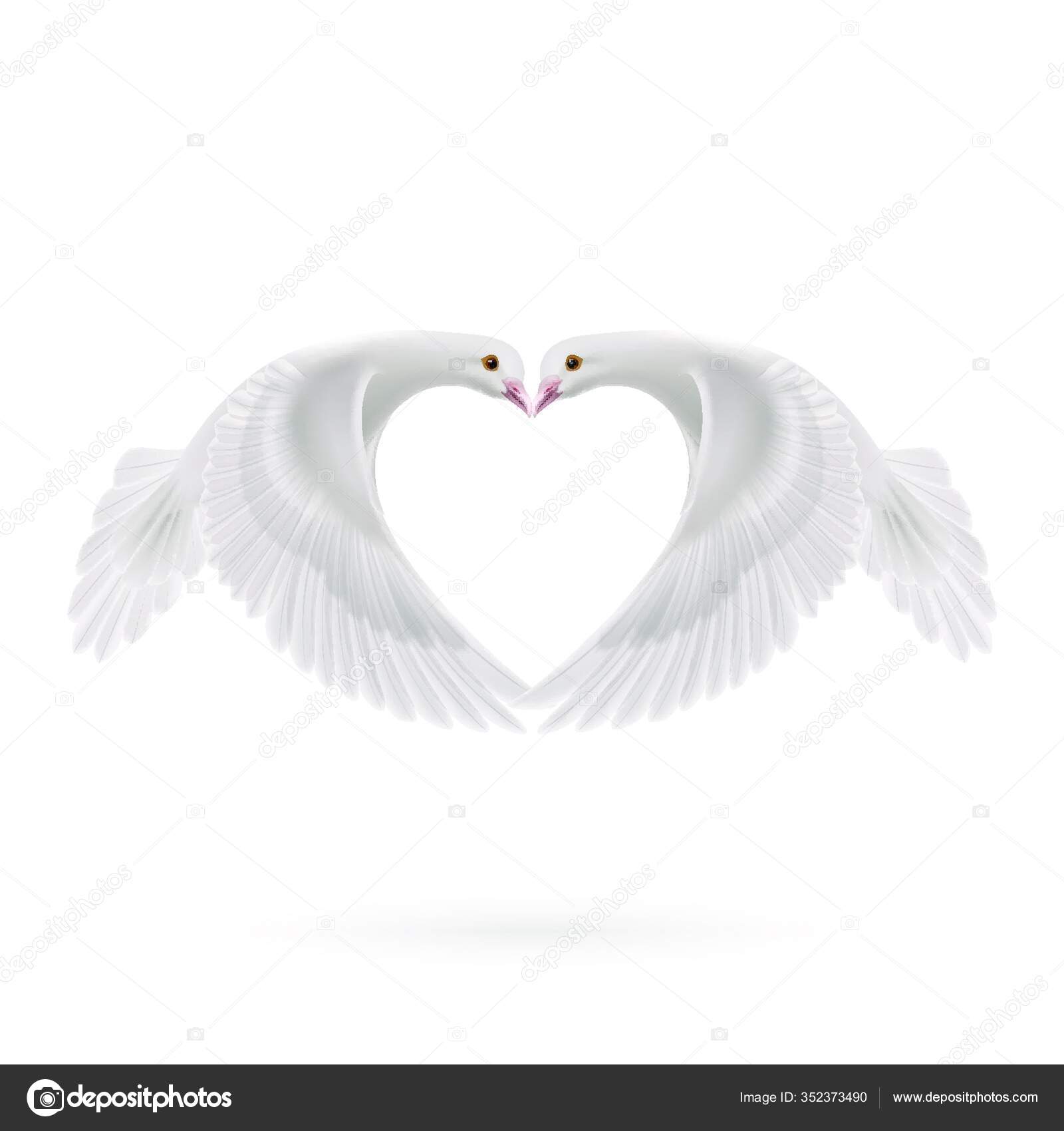 Palomas Hace Forma Las Alas Del Corazón Vector de stock #352373490 de ...