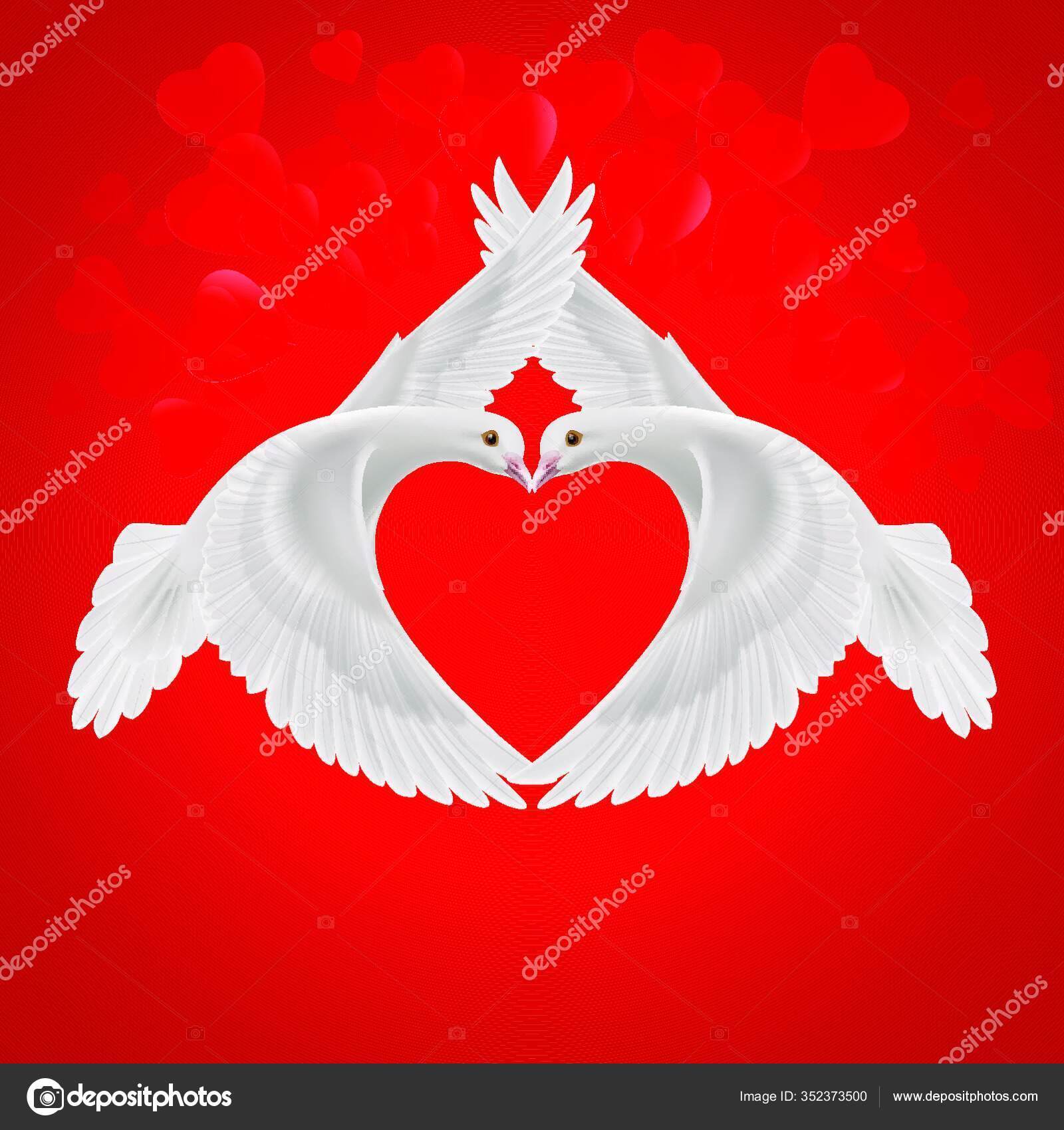 Dos Palomas Blancas Forma Las Alas Del Corazón Rojo Vector de stock por ...