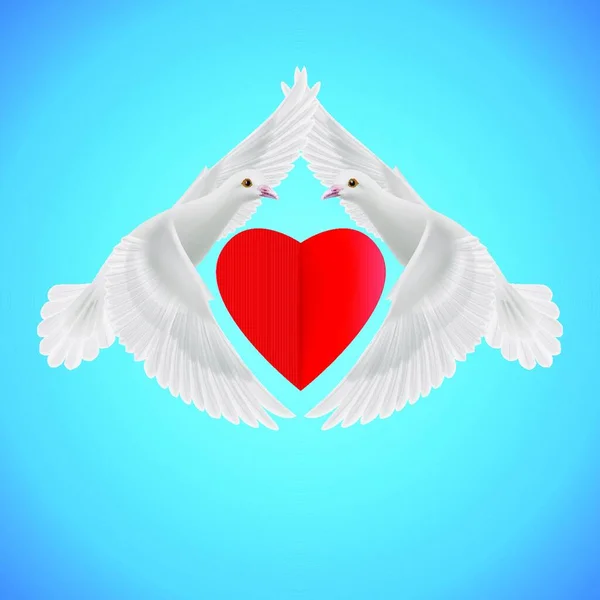Dos Palomas Blancas Forma Las Alas Del Corazón Rojo Vector de stock por ...