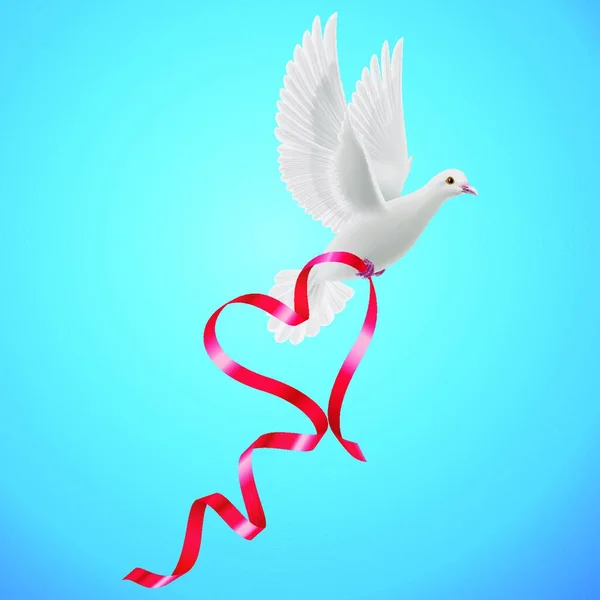 White Dove Red Ribbon White Background — Stock Photo ...
