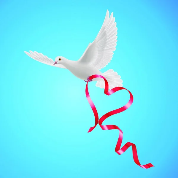 White Dove Red Ribbon Black Background — Stock Photo ...