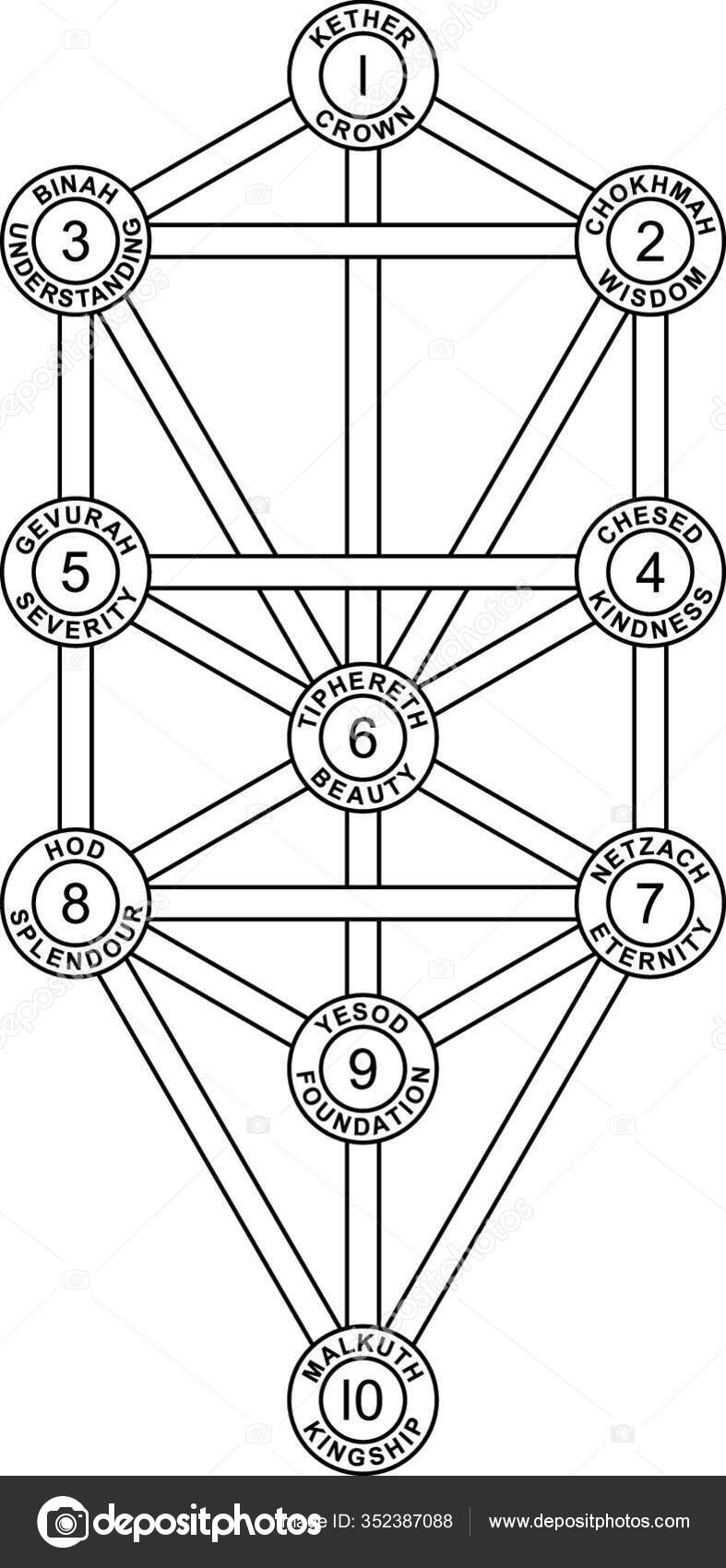 Tree Life Ten Sephirot Hebrew Kabbalah Each Sephirah Number Attribute ...