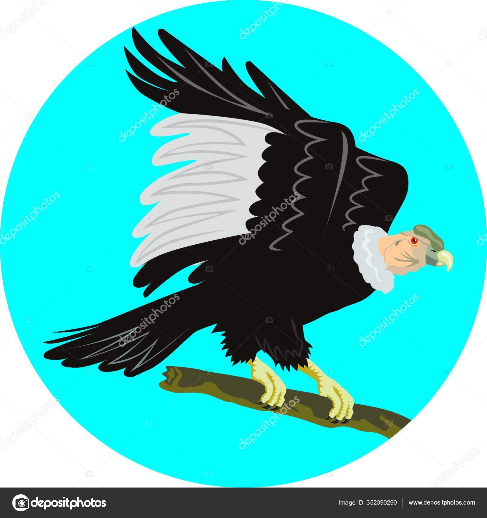 Ilustración Cóndor California Posado Una Rama Vista Desde Lado Del ...