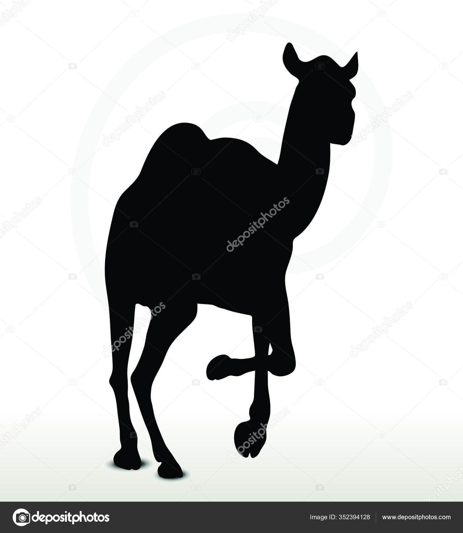 Vector Image Camel Running Pose Isolated White Background Stock Vector ...