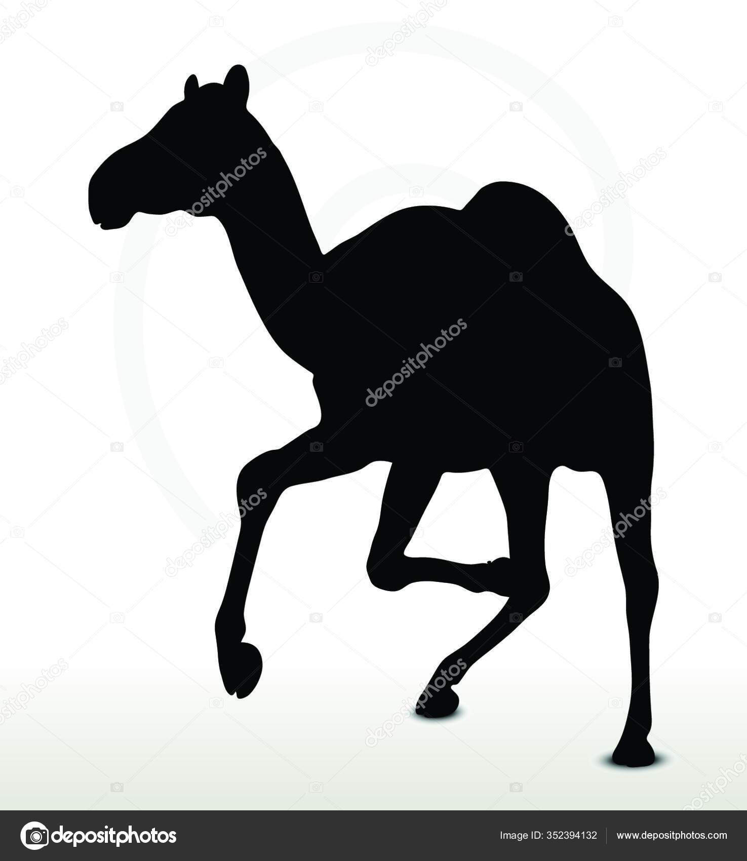 Vector Image Camel Running Pose Isolated White Background Stock Vector ...