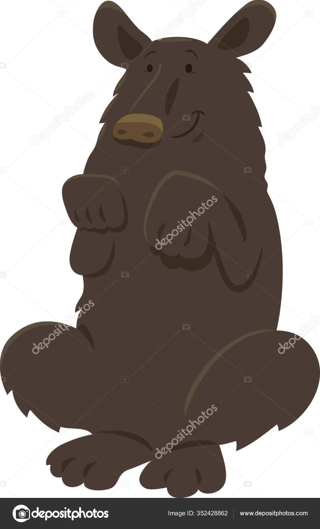 Cartoon Illustration Baribal American Black Bear Animal Character Stock ...