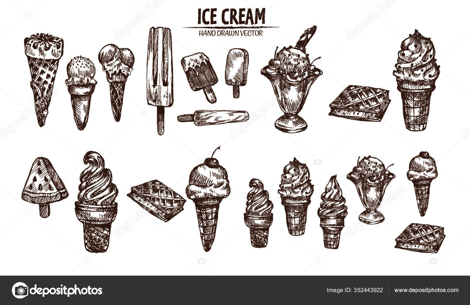 Digital Vector Detailed Line Art Ice Cream Cone Bowl Hand Stock Vector ...