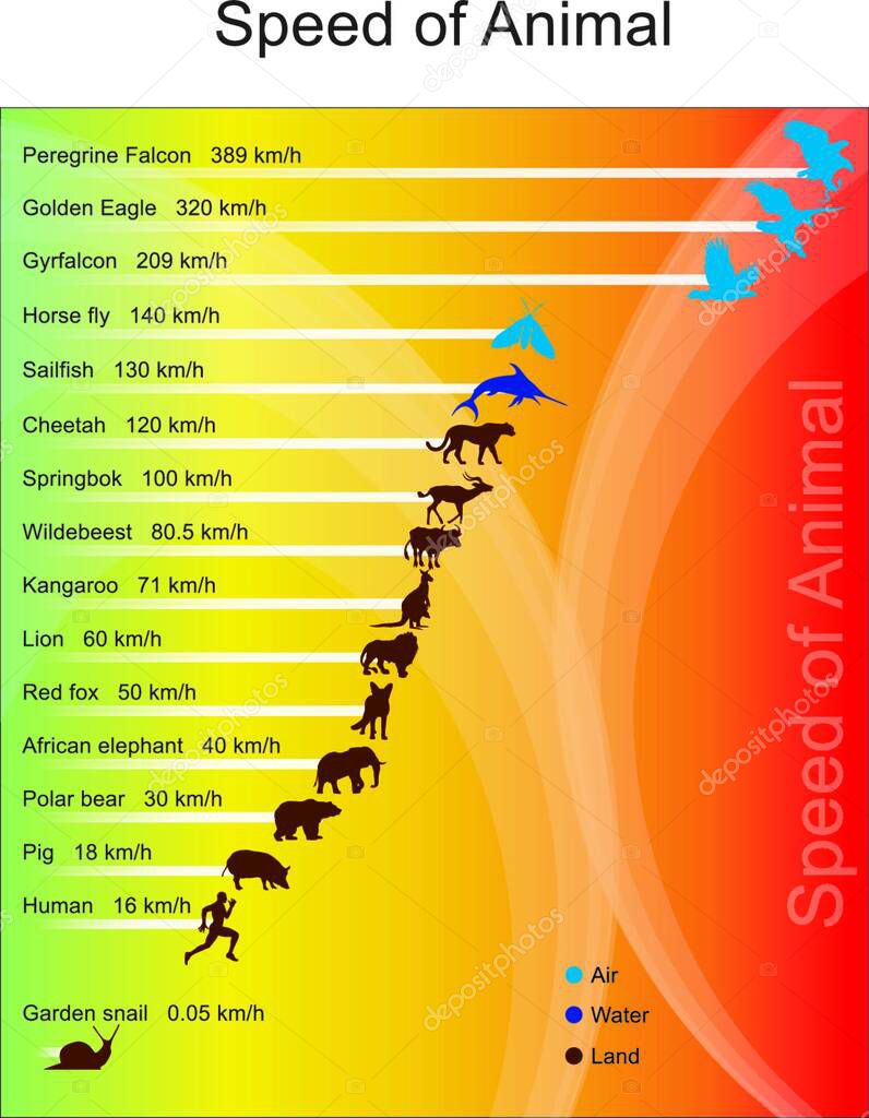 La carta de animales más rápida. Diseño gráfico vectorial. 2024