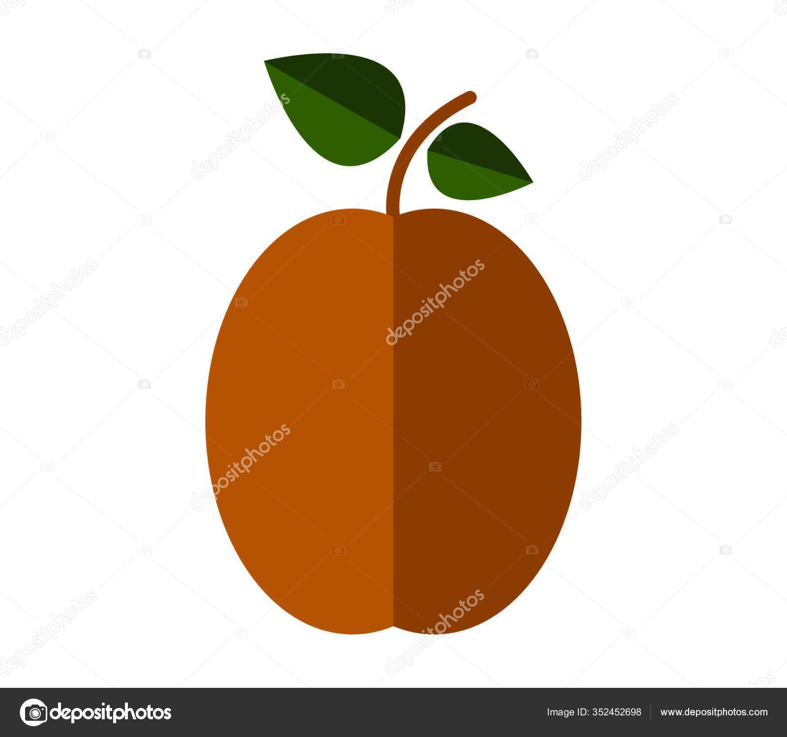 Apricot Icon White Background Stock Vector by ©PantherMediaSeller 352452698