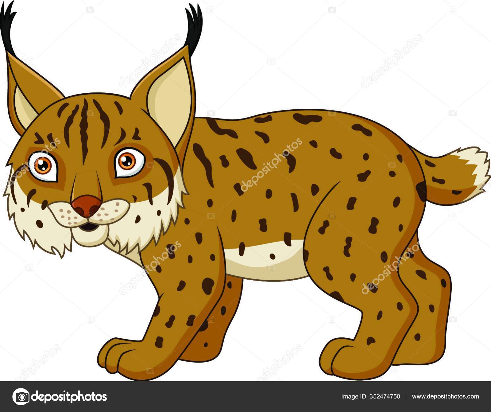 Cartoon Lynx Isolated White Background Stock Vector Image by ...