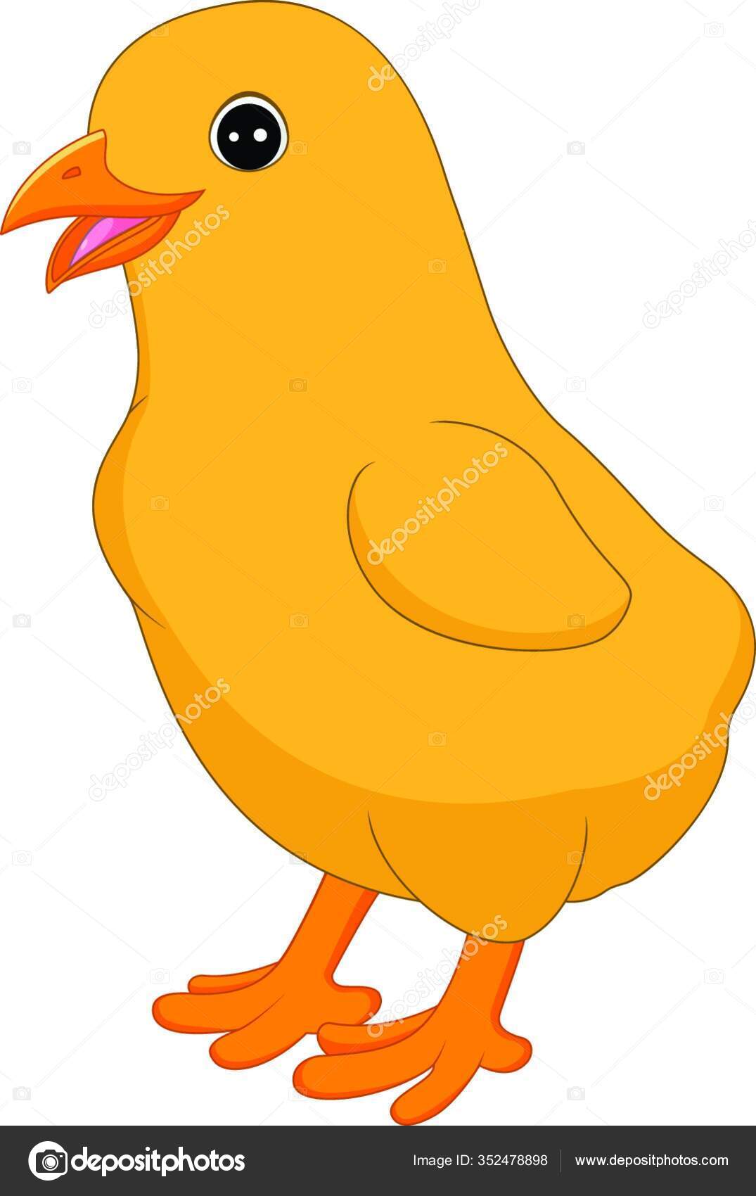 Lindo Fondo De Pantalla De Pollito