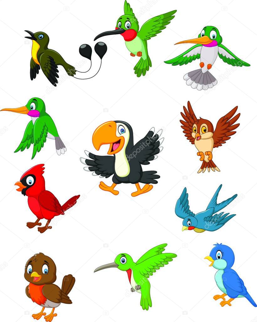 colecci n de aves de dibujos animados conjunto 2024