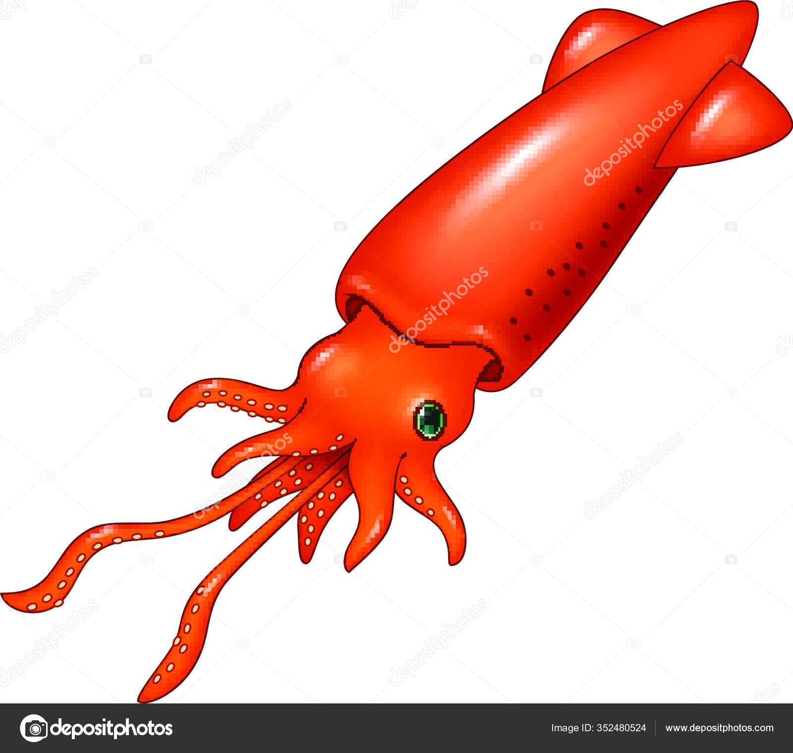 Cartoon Squid Isolated White Background Stock Vector by ...