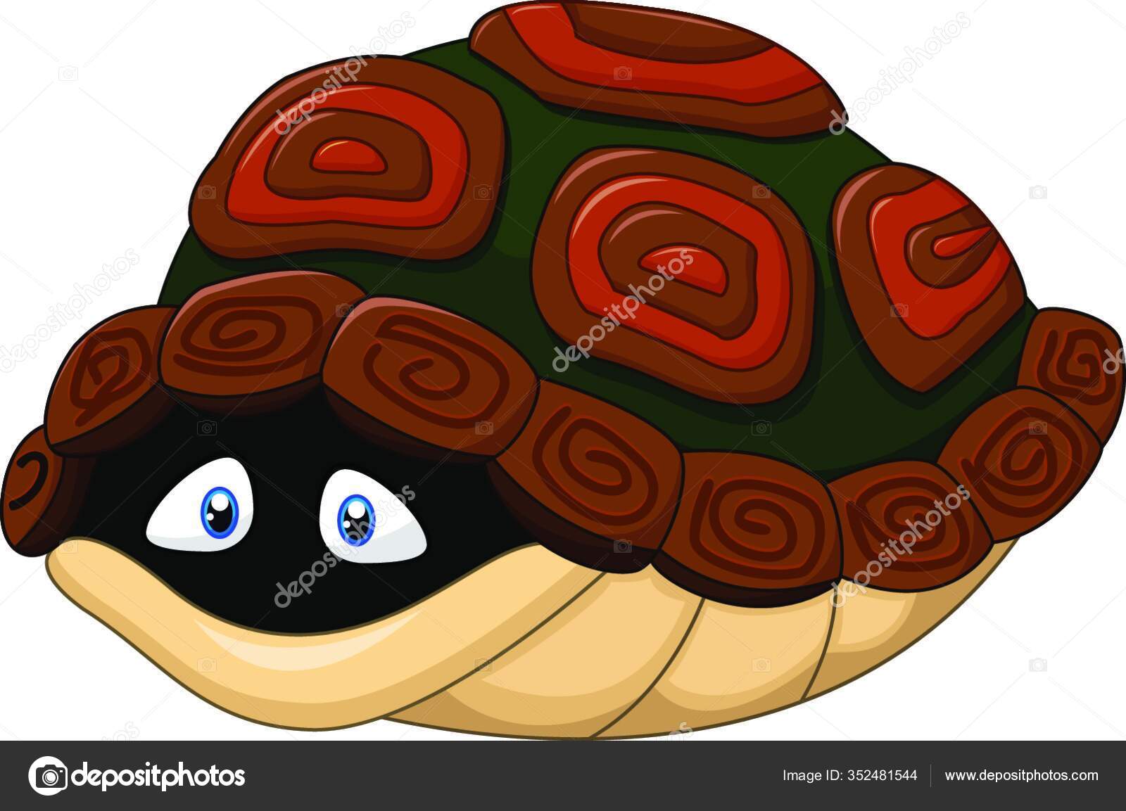 Cute Turtle Hides Its Shell Stock Illustration by ©PantherMediaSeller ...