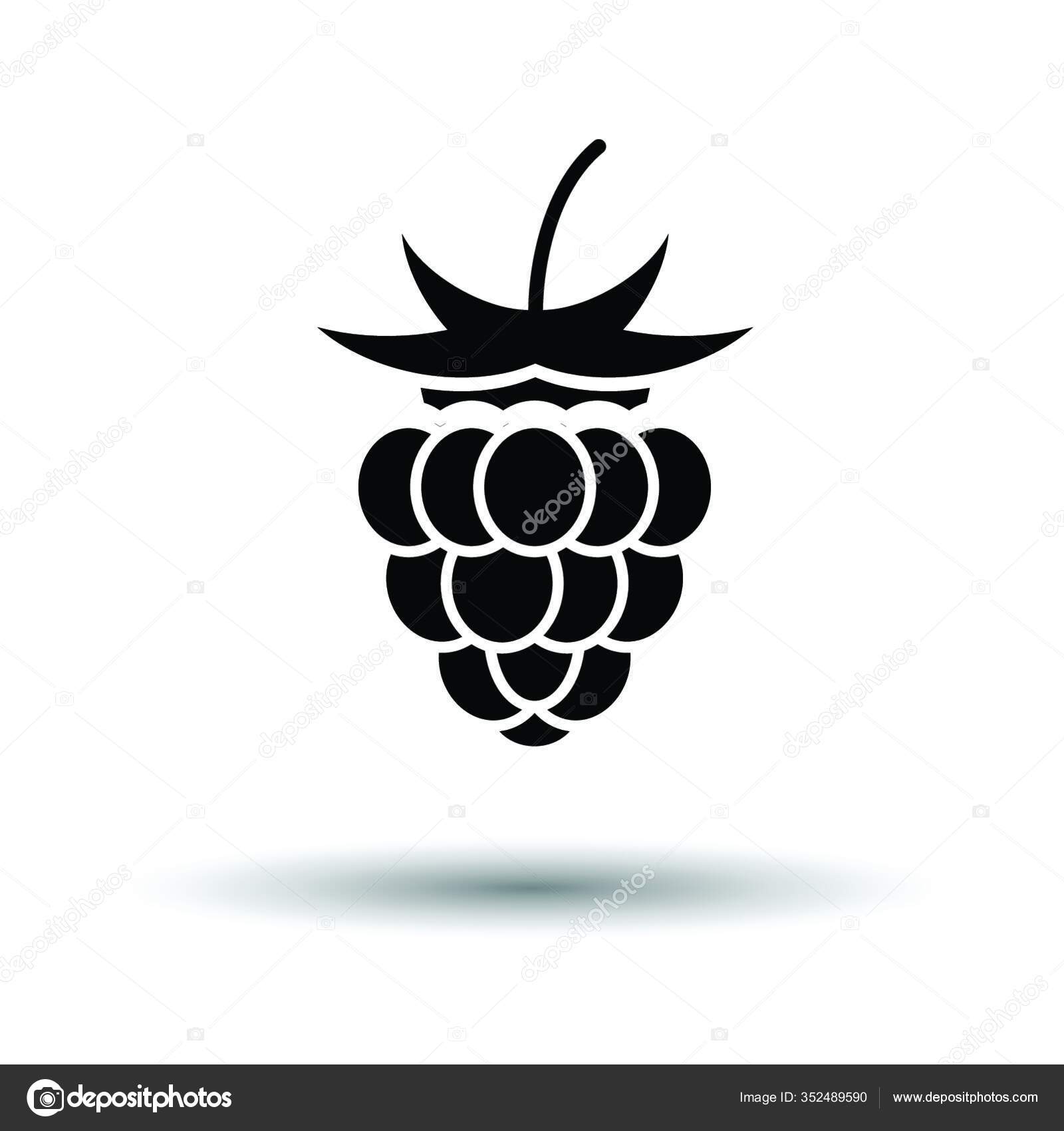 Raspberry Icon White Background Shadow Design Vector Illustration Stock ...