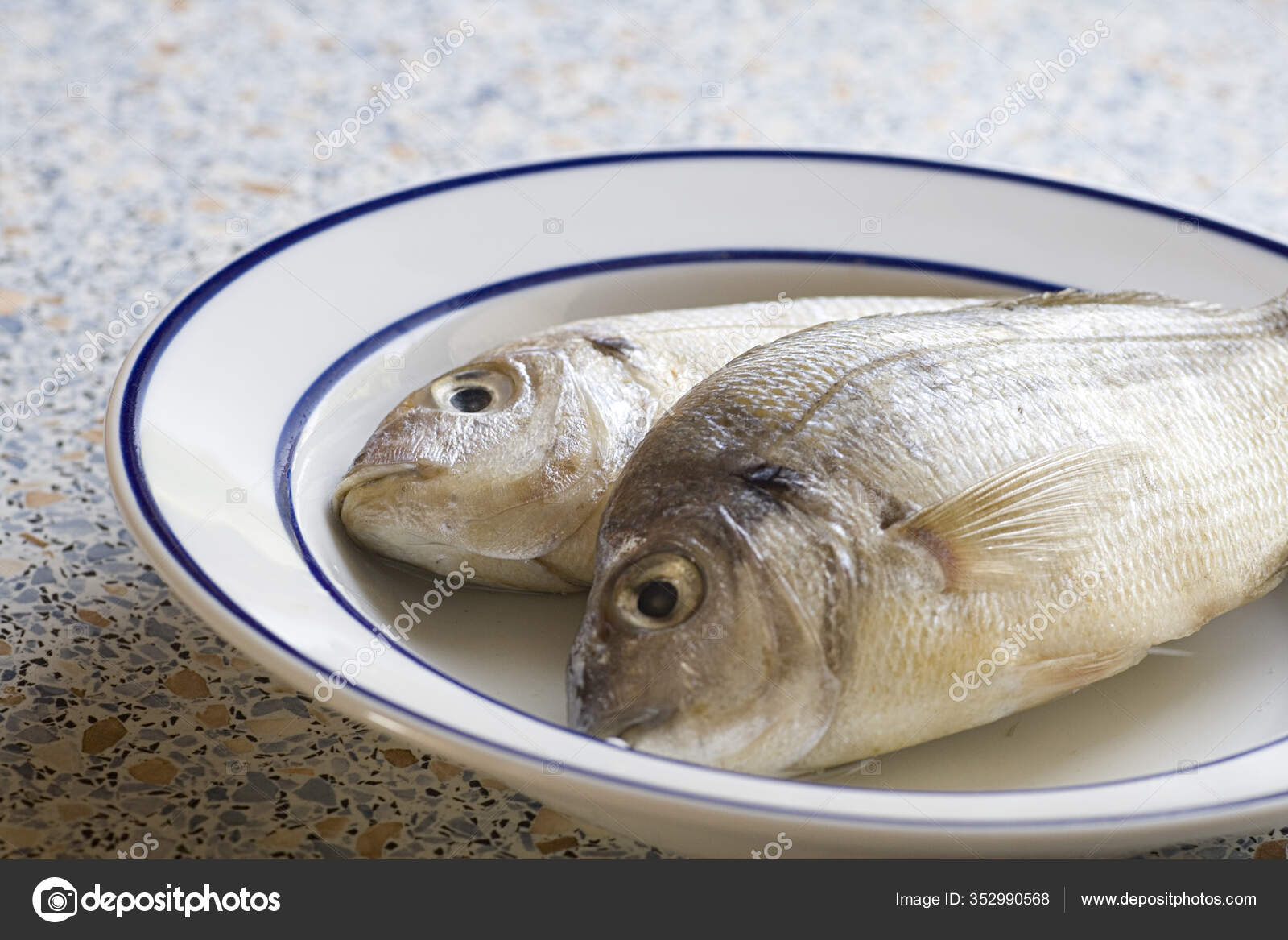 Two Fresh Whole Fish Stock Photo by ©PantherMediaSeller 352990568